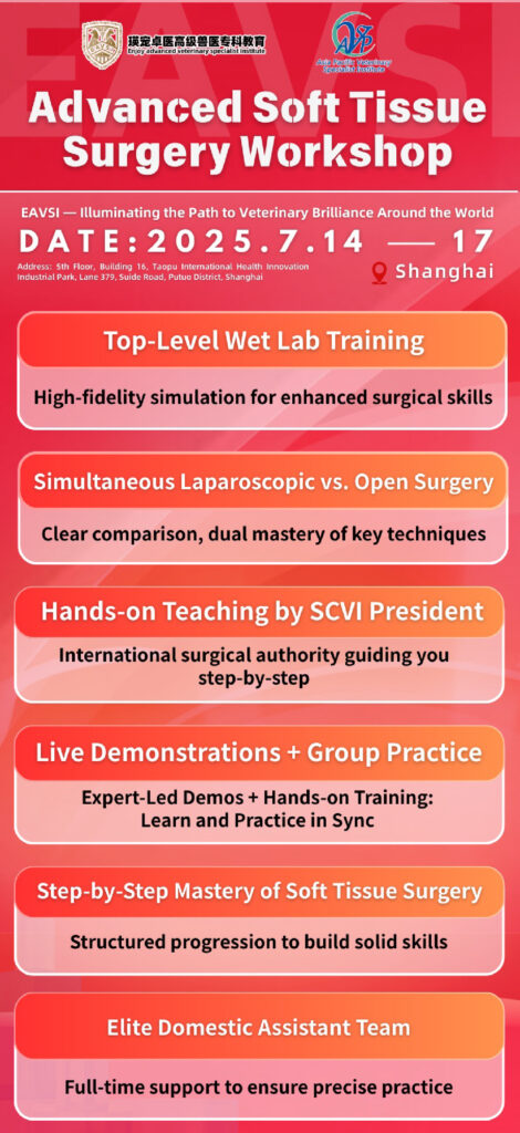Advanced Soft Tissue Surgery Workshop - VetXpert